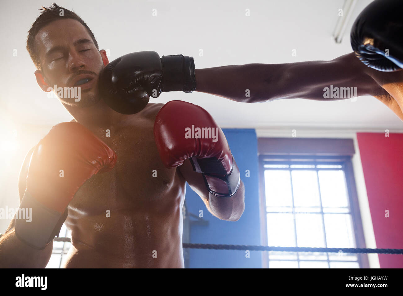 Boxers practicing boxing at fitness studio Stock Photo - Alamy