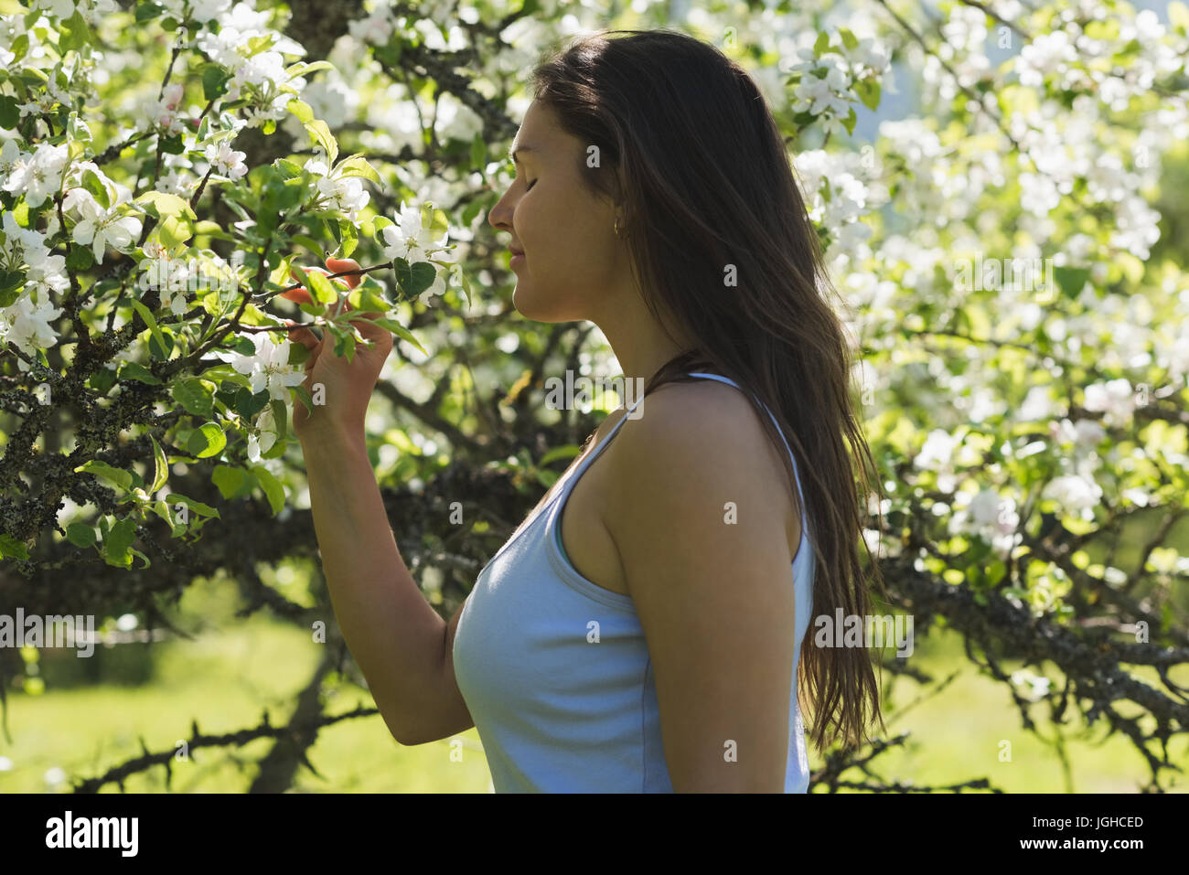 Woman smelling flower hi-res stock photography and images - Alamy
