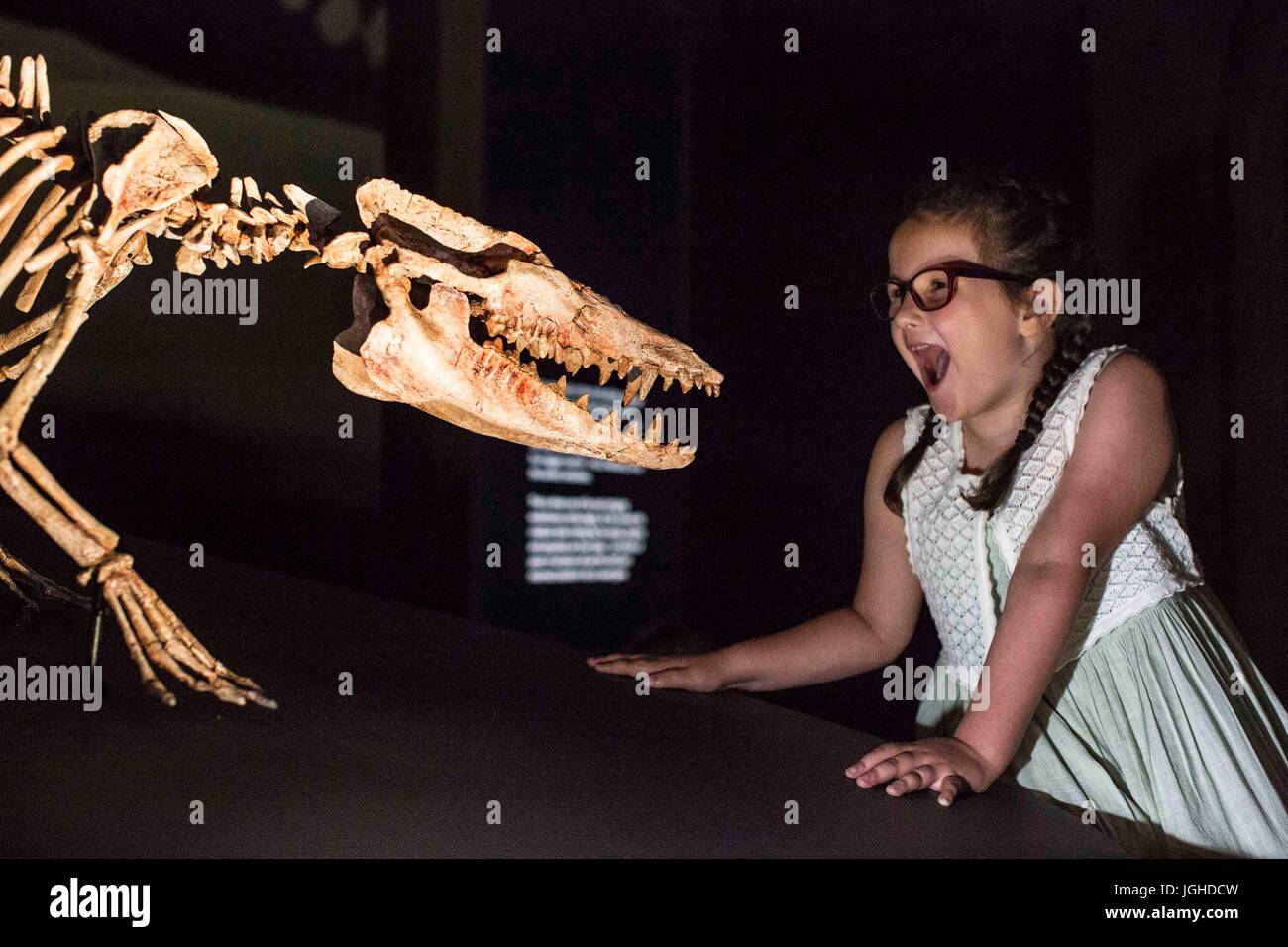 Bella Chamberlain, aged 6, takes a closer look at a Pakicetus skeleton ...