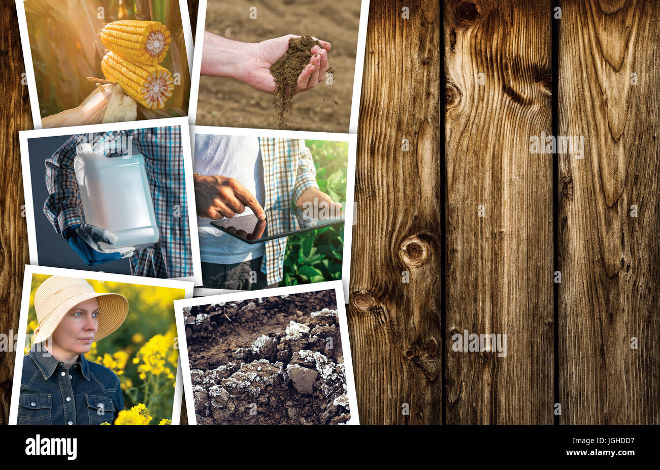 Agricultural occupation and activity collage photo on wooden background ...