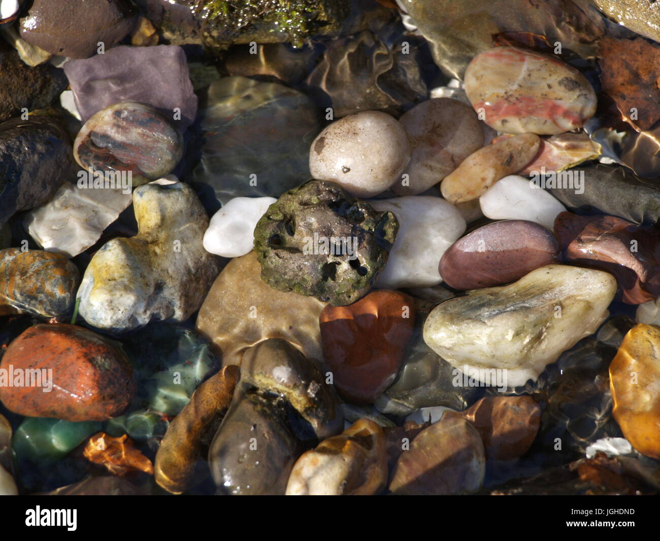 Pebbles and rocks in water stream Stock Photo - Alamy
