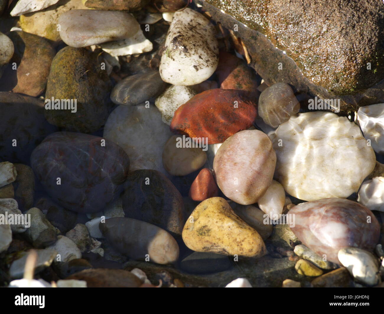 pebbled stream bed Stock Photo - Alamy