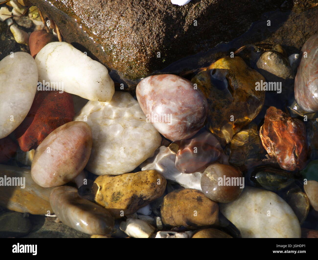 pebbles in a stream of water Stock Photo - Alamy