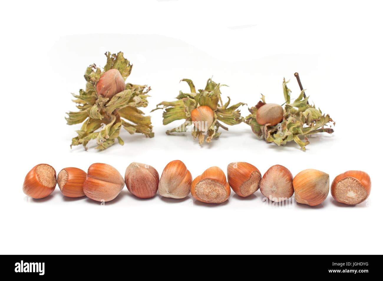 Pile of hazelnuts isolated on white Stock Photo - Alamy