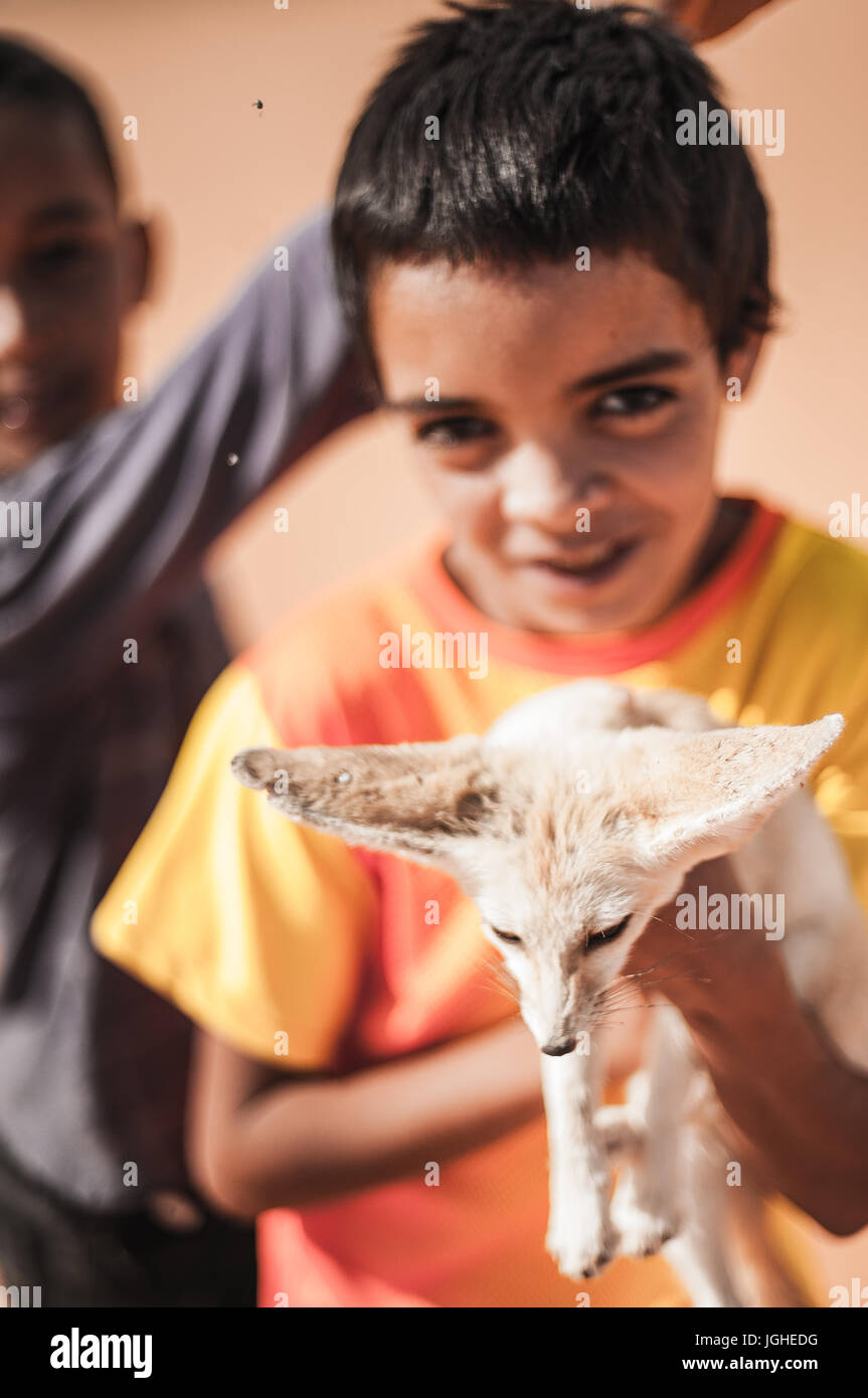 Boy fox hi-res stock photography and images - Alamy