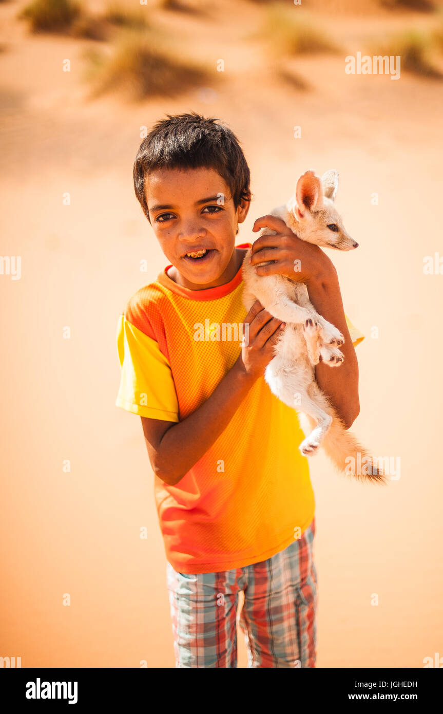 The boy caught a fox (Fennec) in the desert in Merzouga, Morocco Stock ...