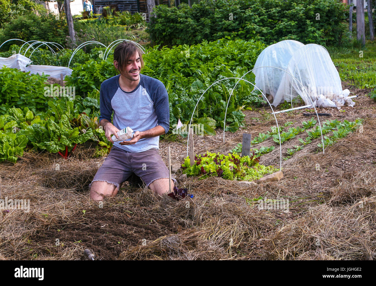 People working ground in field hi-res stock photography and images - Alamy