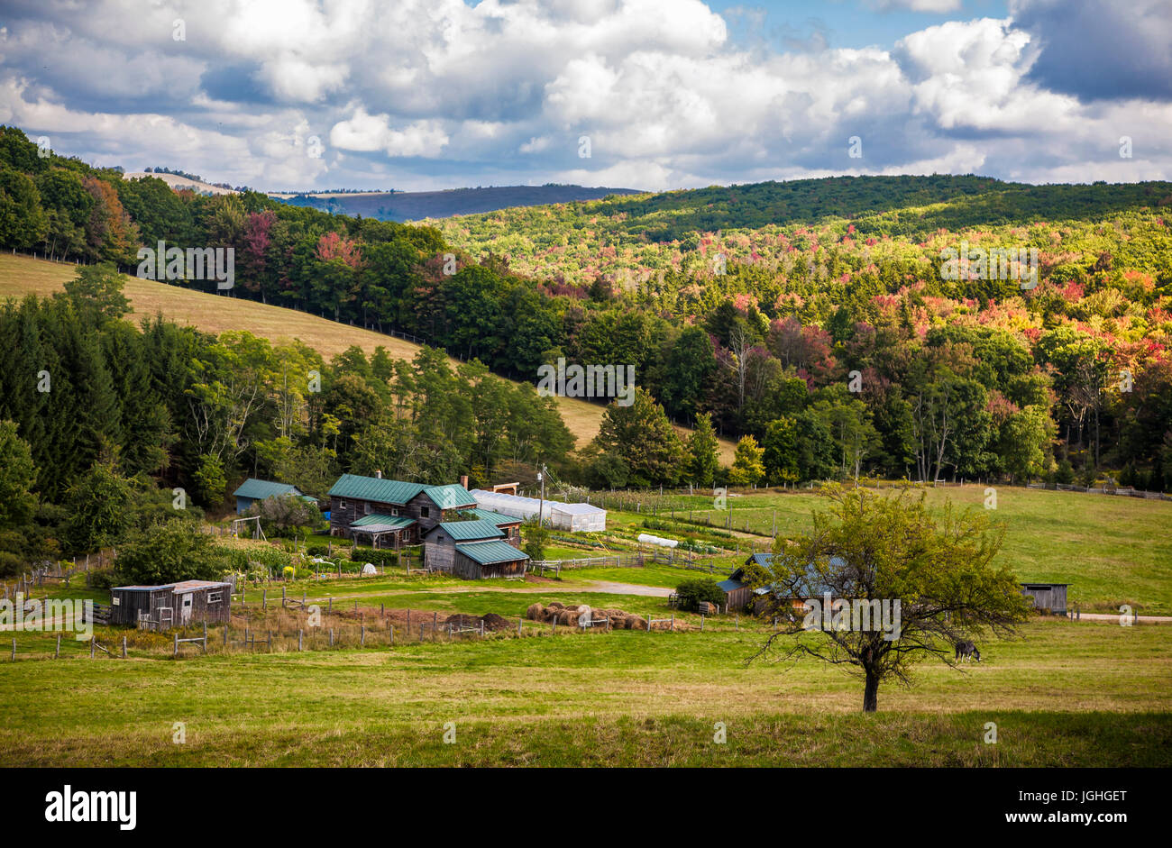 Scenic farm and mountain view in with Fall tree foliage, rustic farm ...