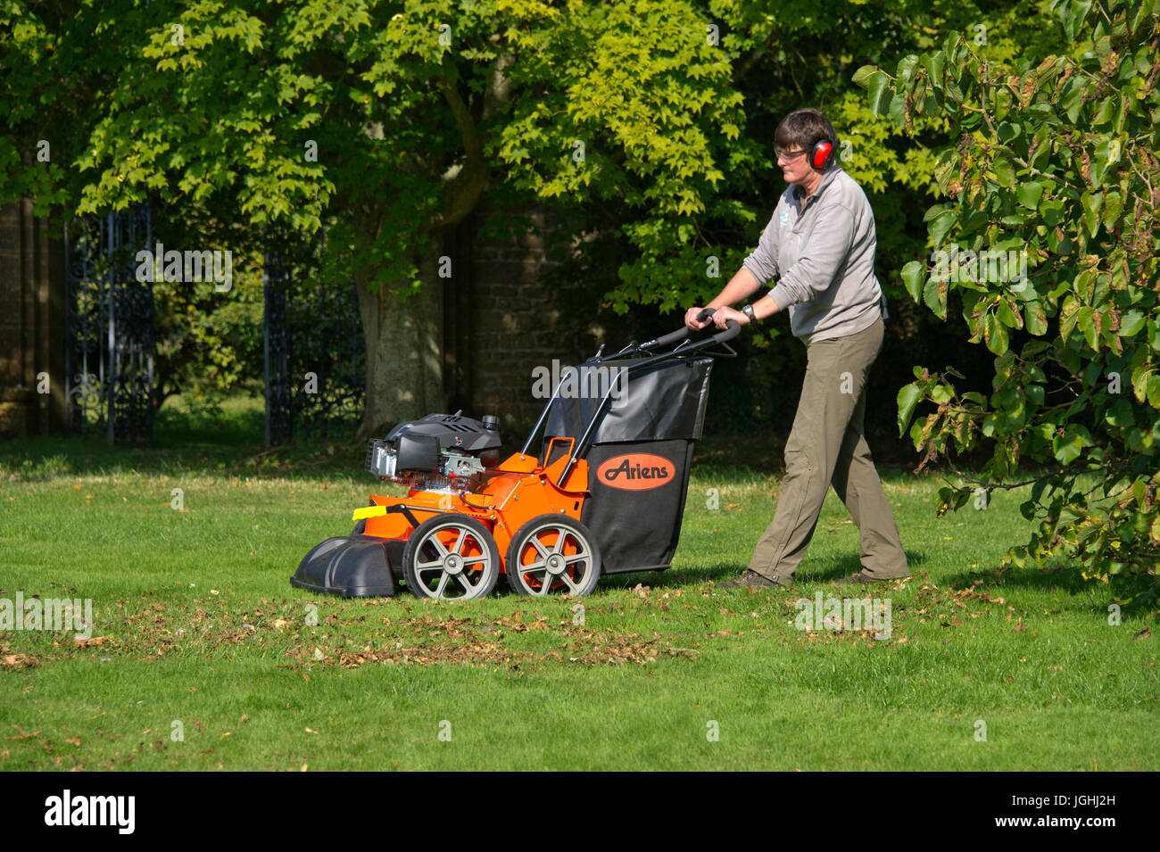Garden leaf & litter blowers and vacuums Stock Photo - Alamy