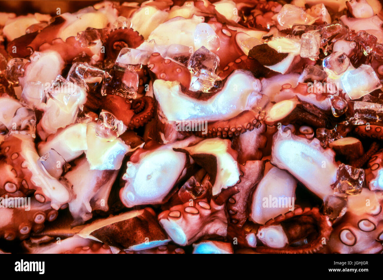 Octopus pieces in a tray at Toji temple market in Kyoto Stock Photo - Alamy