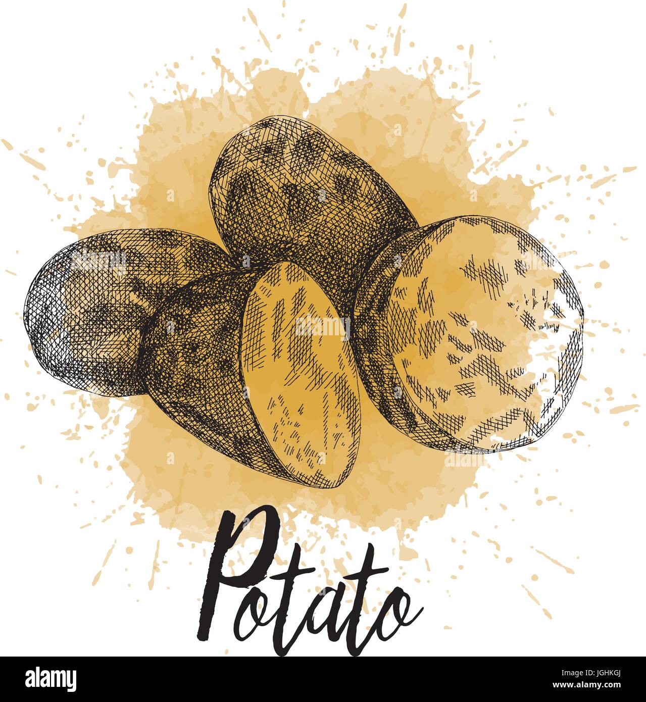Potato Drawing Stock Photos & Potato Drawing Stock Images - Alamy