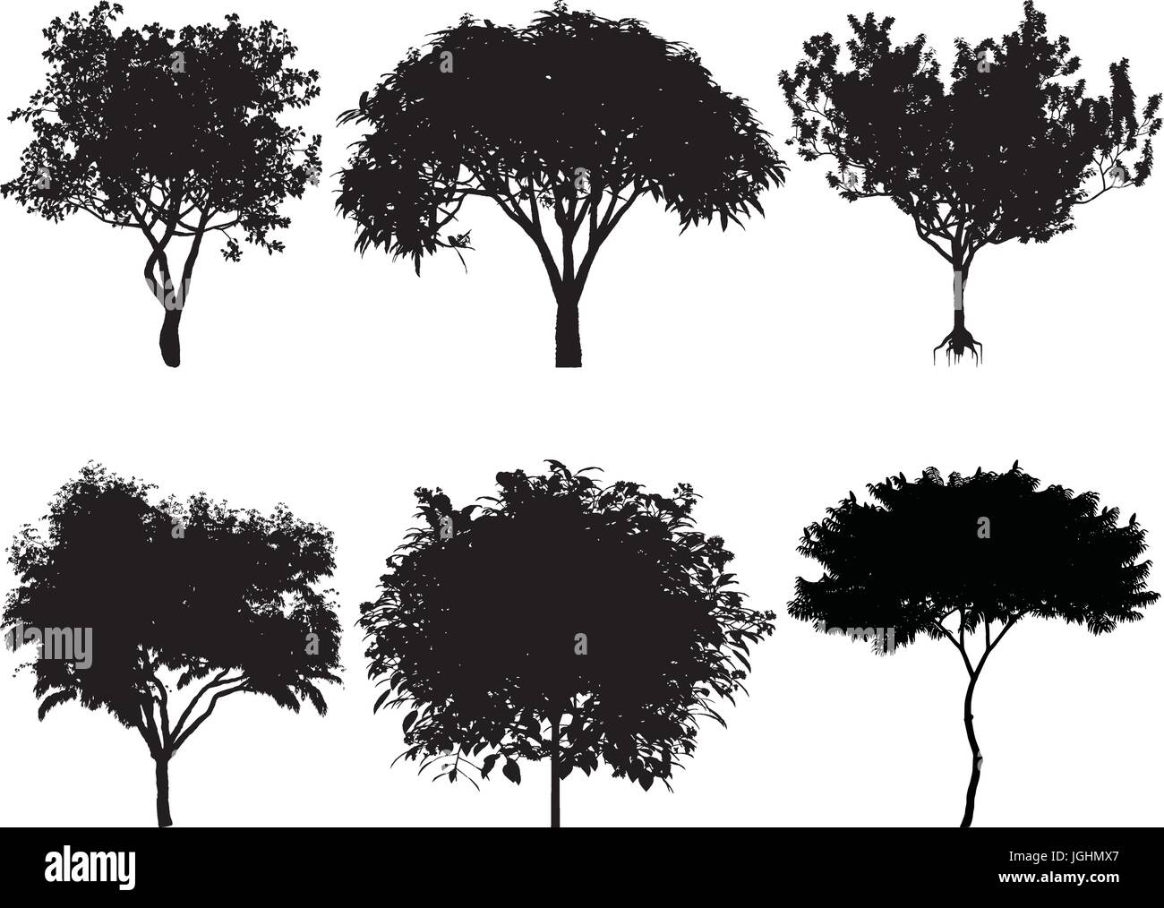 Vector illustration of tree silhouettes Stock Vector Image & Art - Alamy