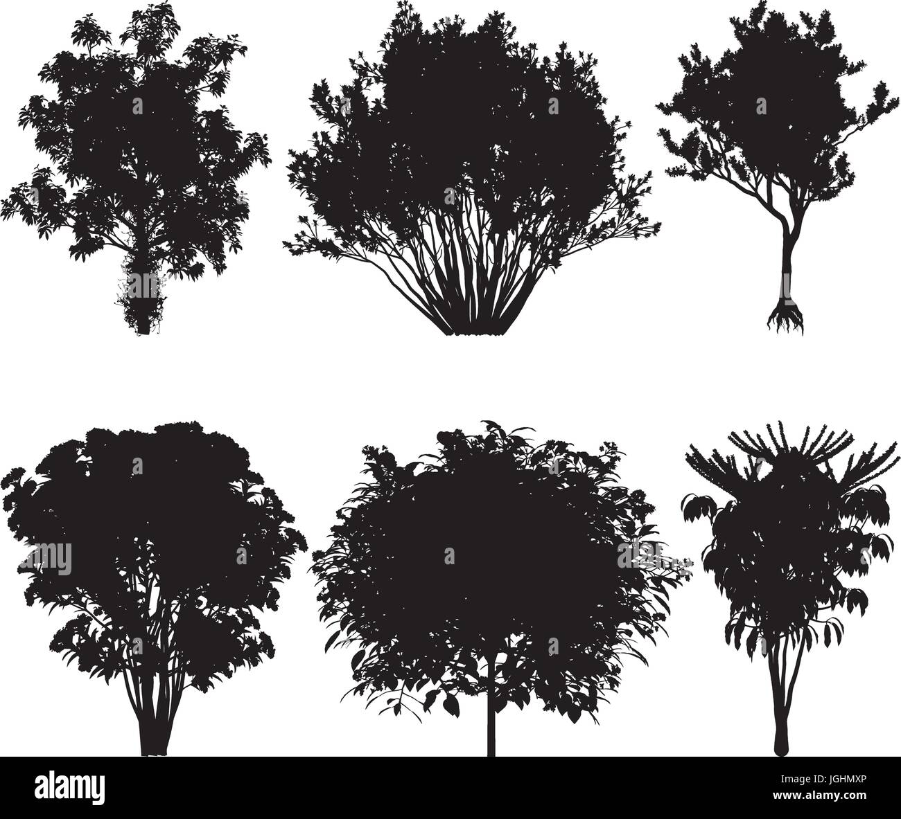 Vector illustration of tree silhouettes Stock Vector Image & Art - Alamy