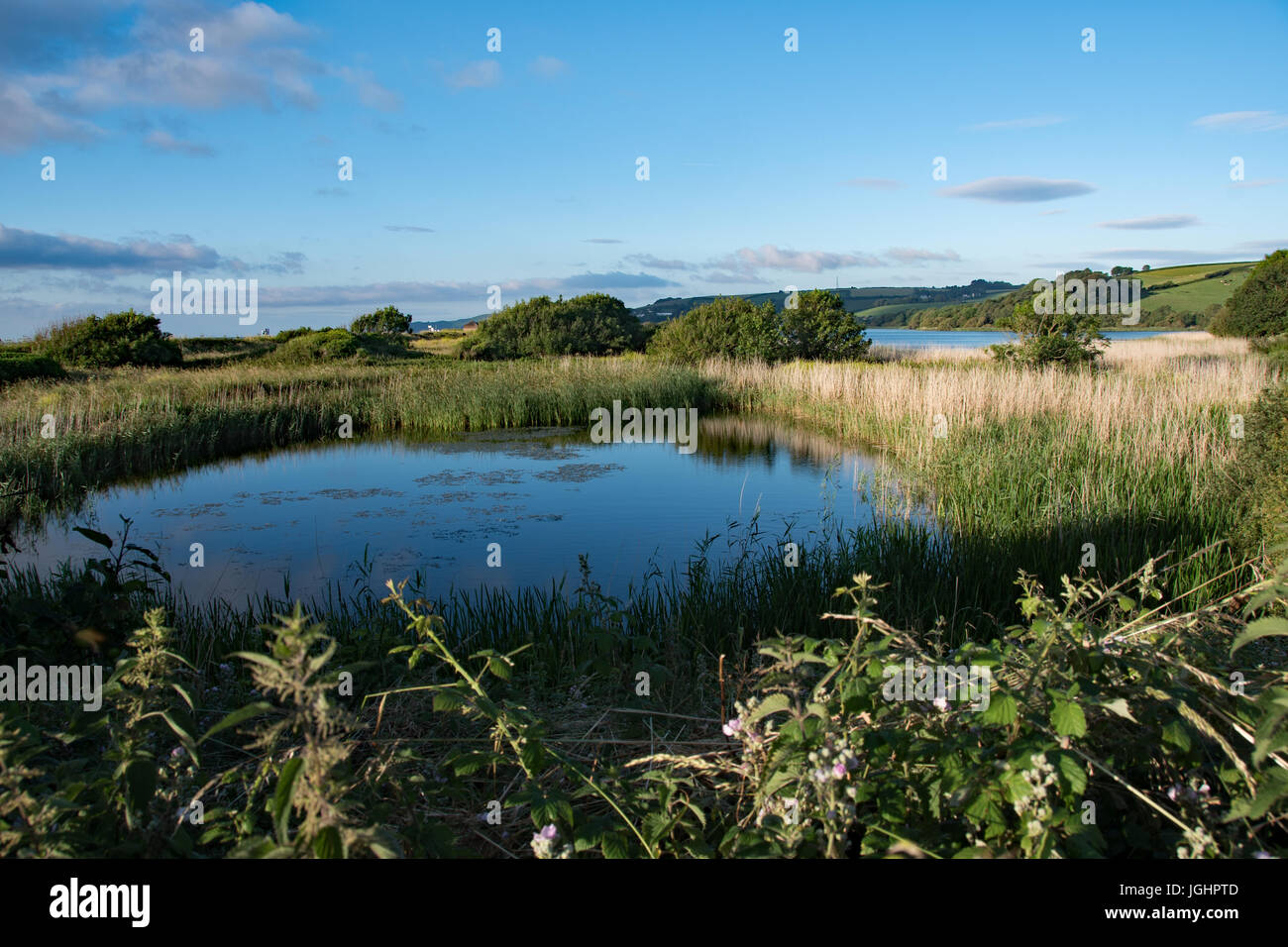 Slapton Ley Nature Reserve, Devon Stock Photo - Alamy