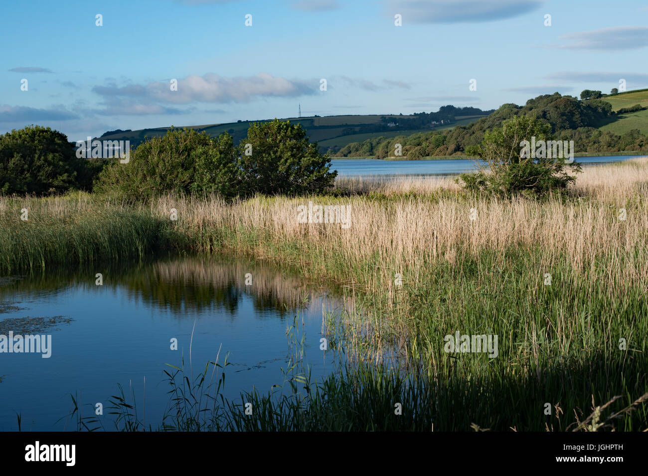 Slapton Ley National Nature Reserve, Devon Stock Photo - Alamy