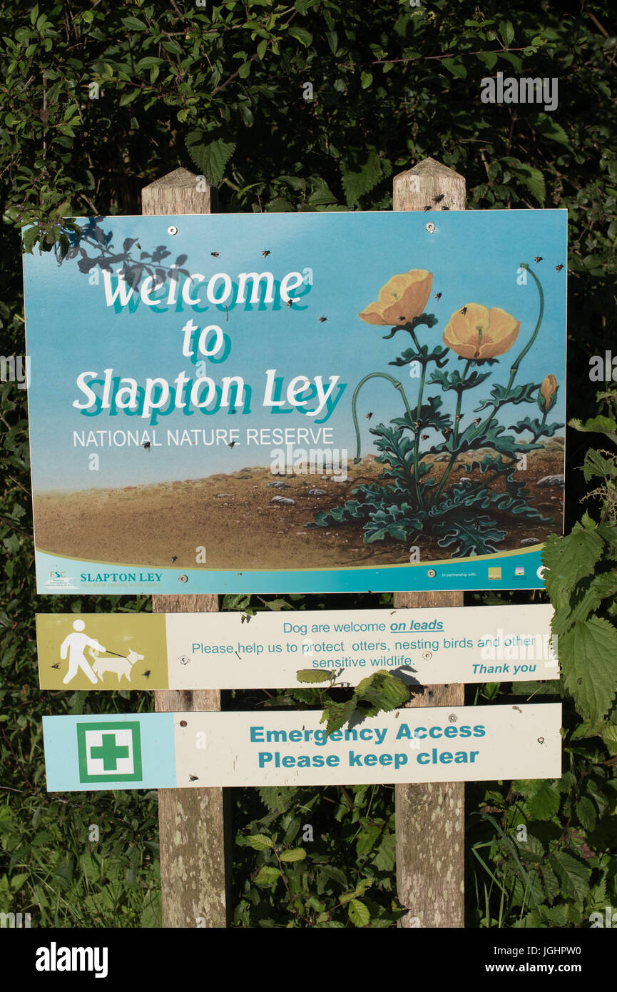 Slapton ley field centre hi-res stock photography and images - Alamy