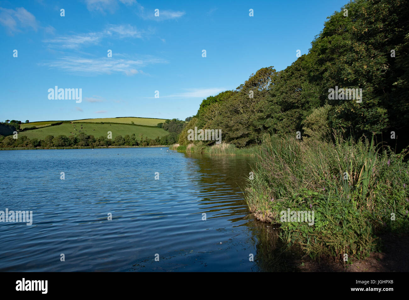 Slapton Ley National Nature Reserve, Devon Stock Photo - Alamy