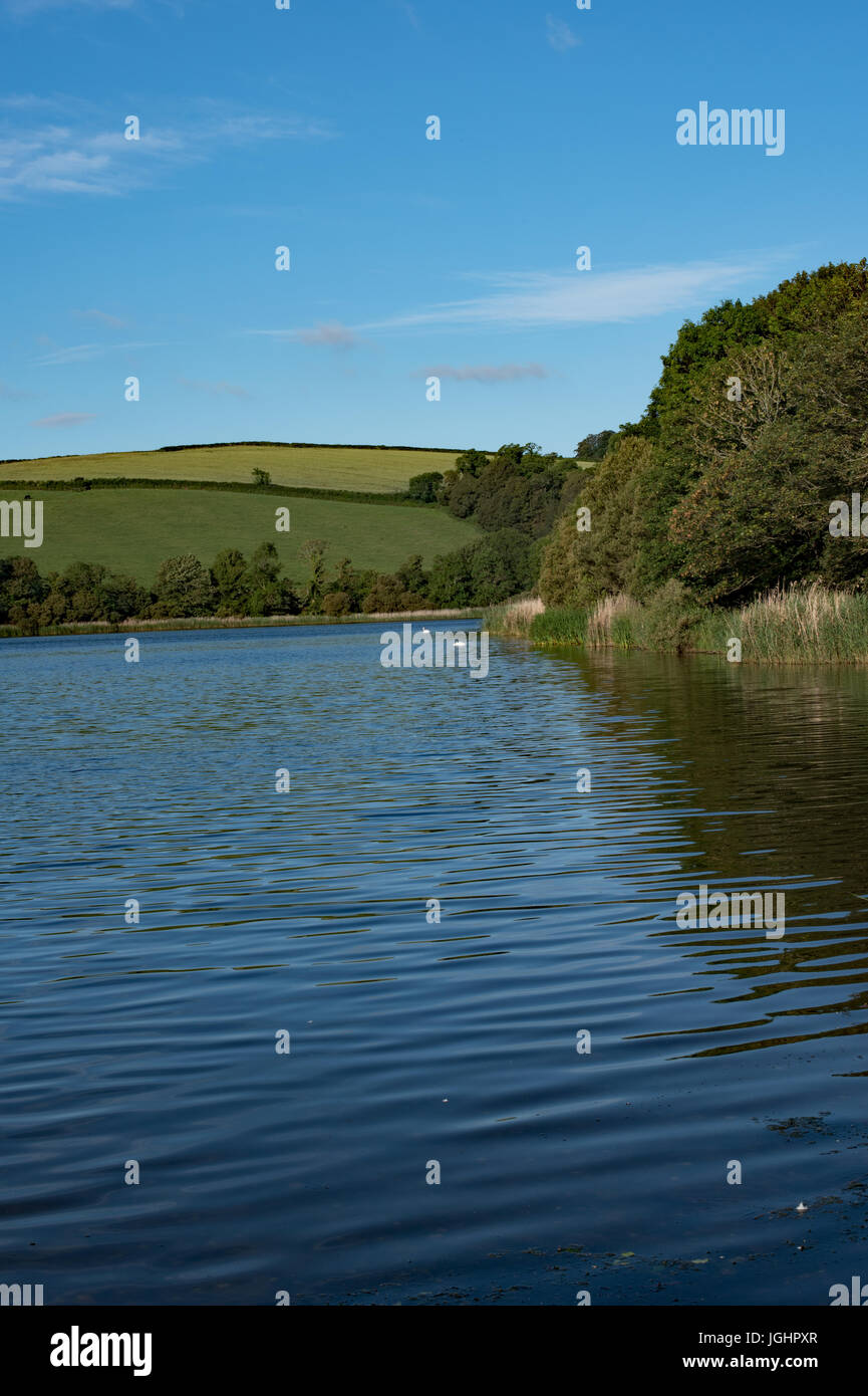 Slapton Ley National Nature Reserve, Devon Stock Photo - Alamy