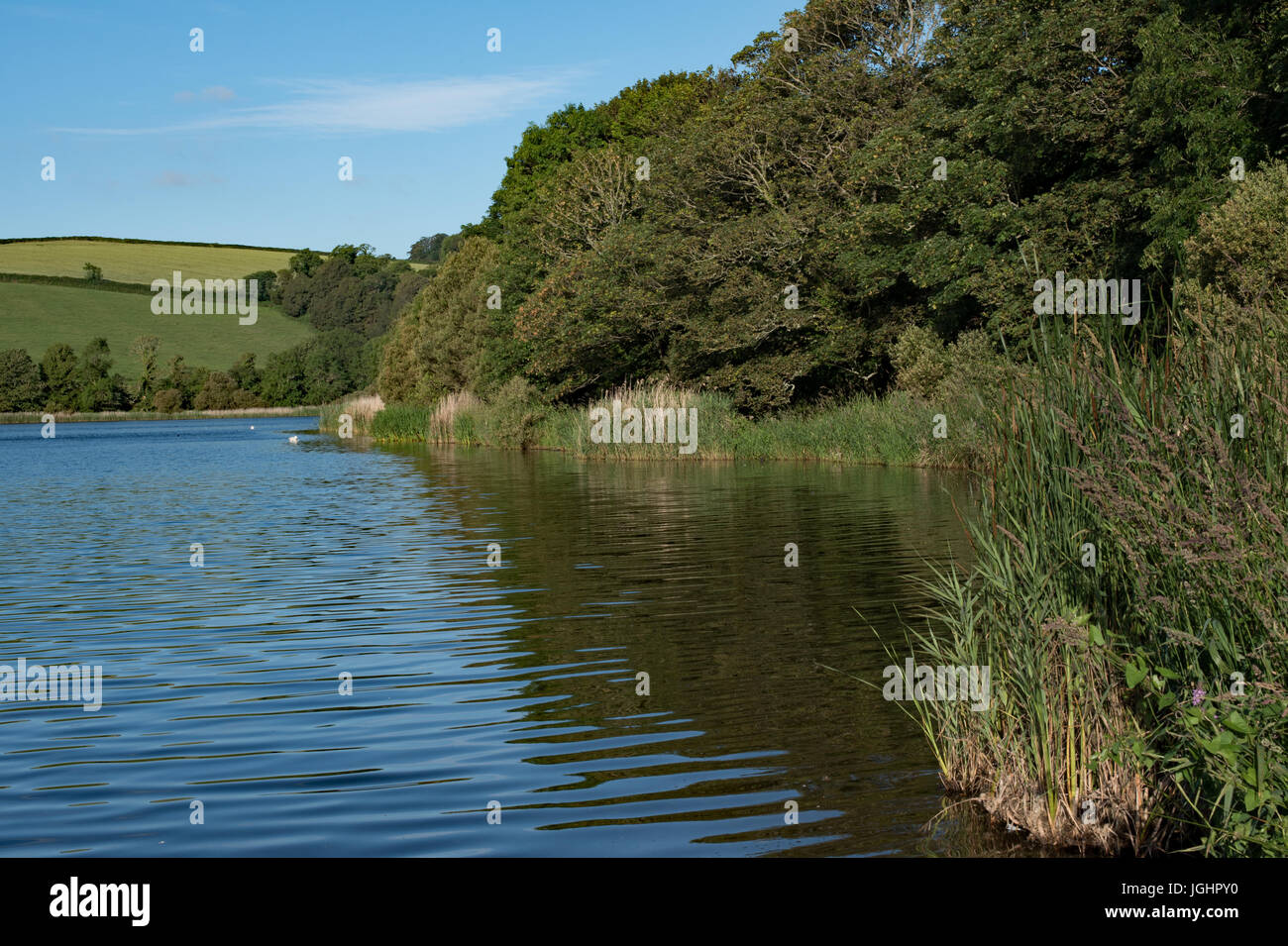 Slapton ley lagoon hi-res stock photography and images - Alamy