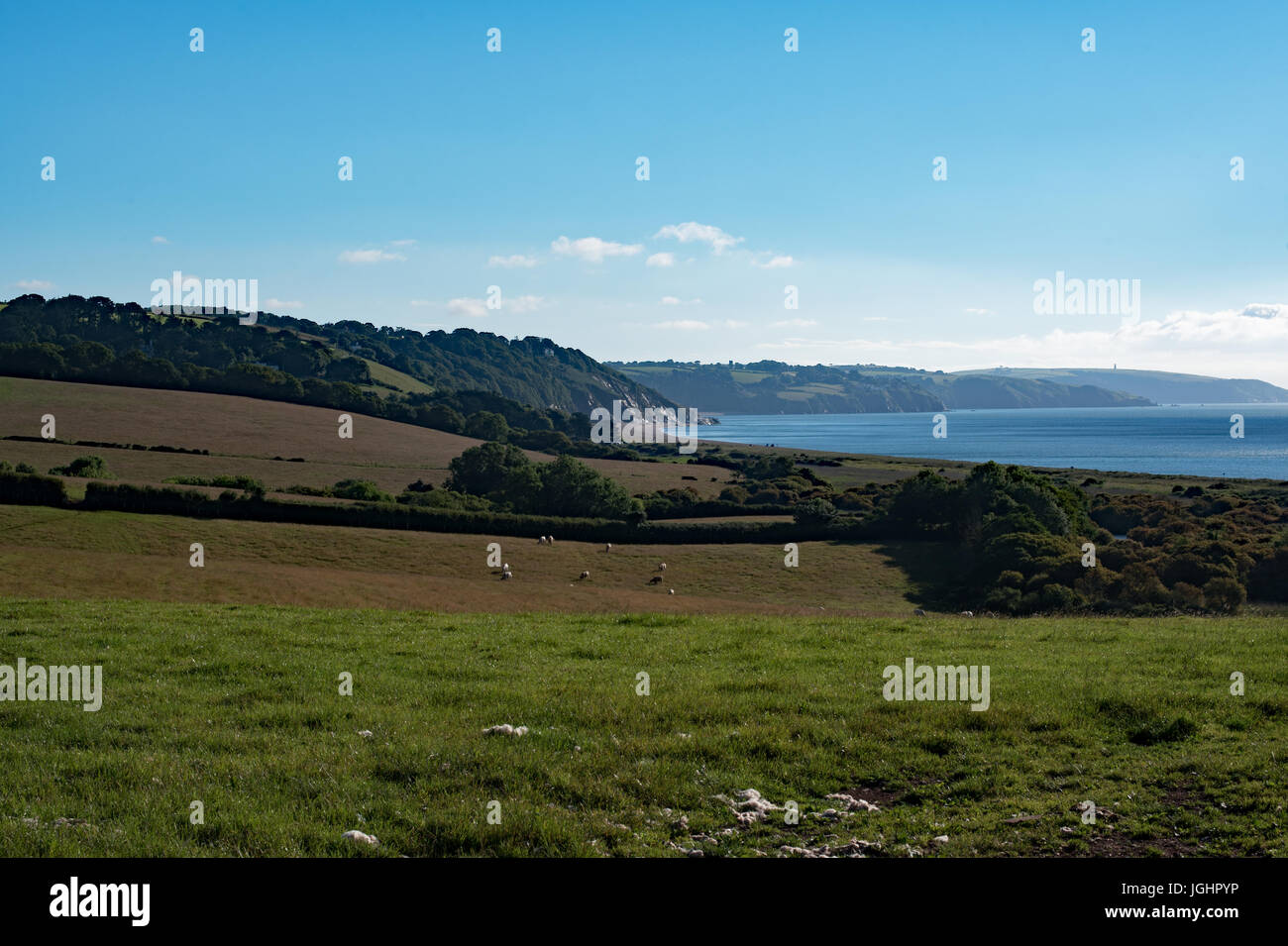 The coastline and beach at Slapton Sands, Devon Stock Photo - Alamy