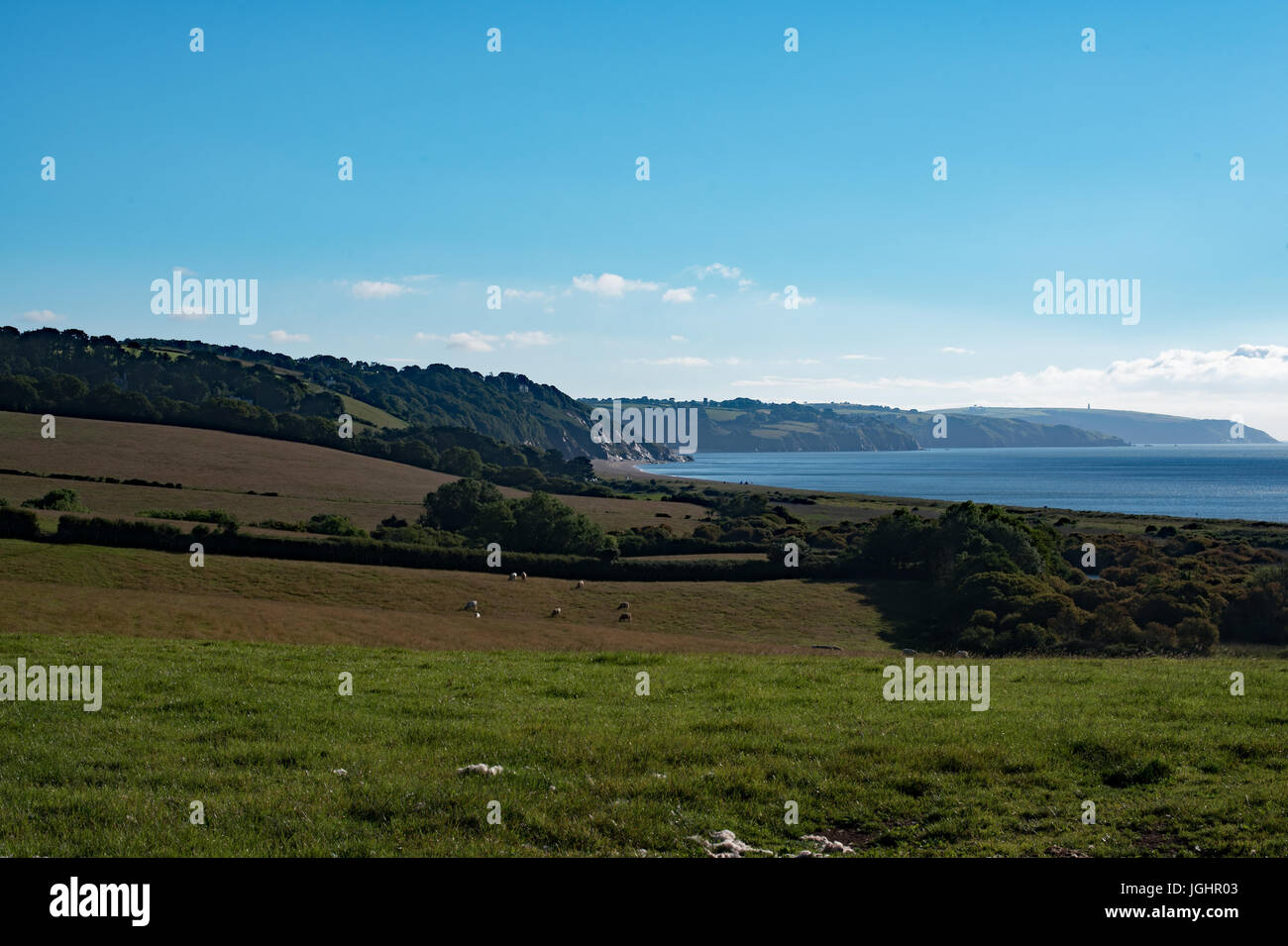 The coastline and beach at Slapton Sands, Devon Stock Photo - Alamy