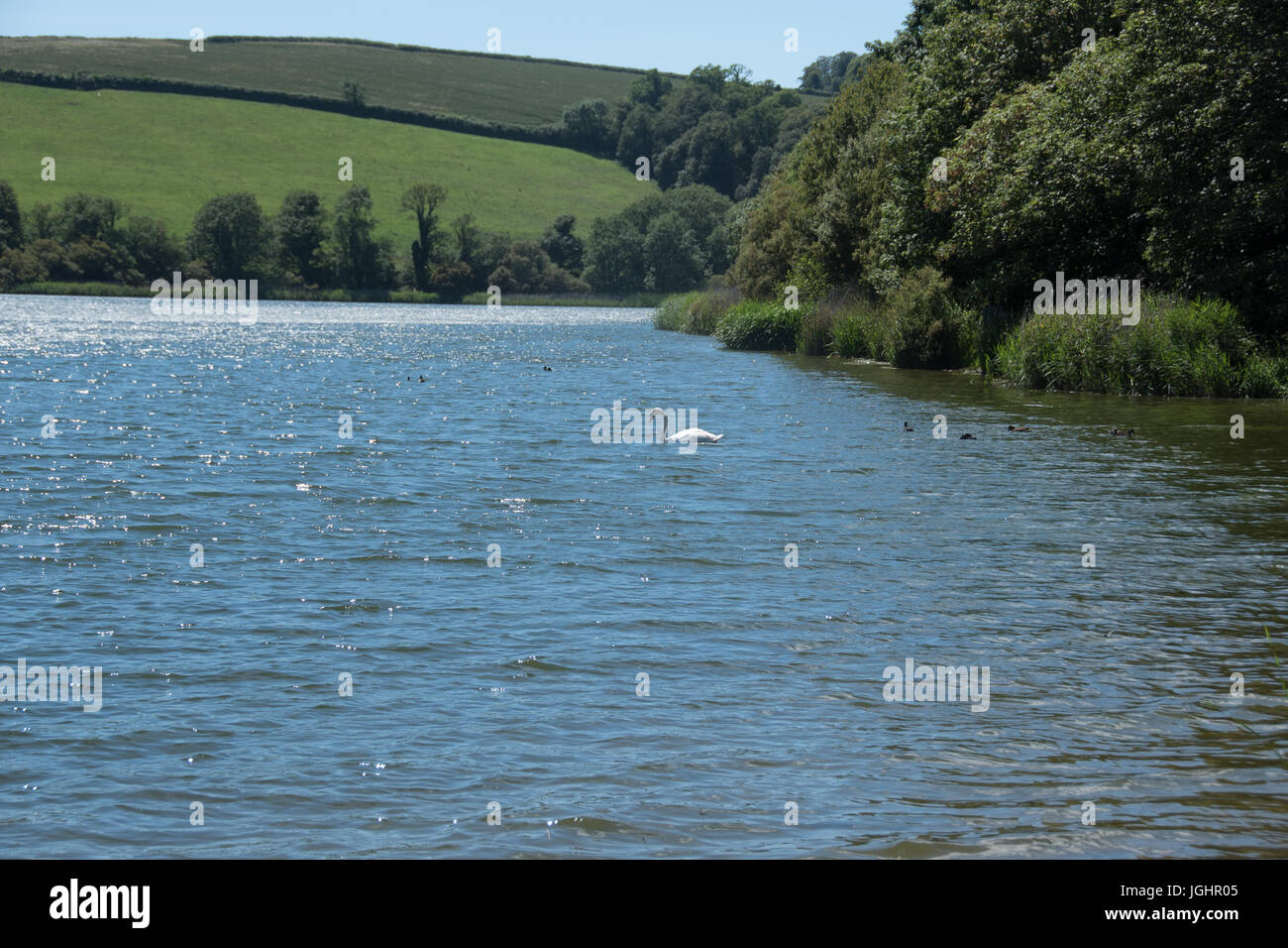 Slapton Ley National Nature Reserve, Devon Stock Photo - Alamy