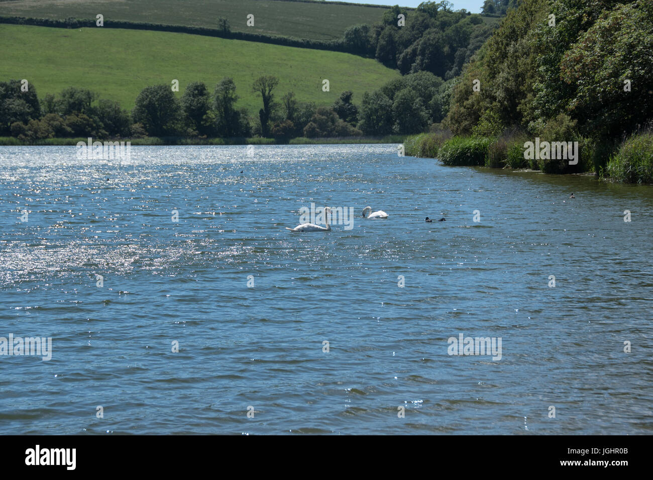 Slapton ley lagoon hi-res stock photography and images - Alamy