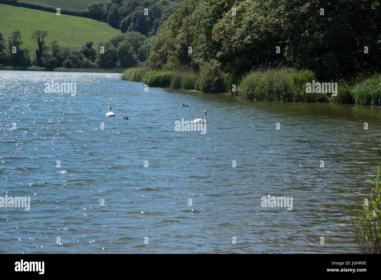Slapton Ley National Nature Reserve, Devon Stock Photo - Alamy