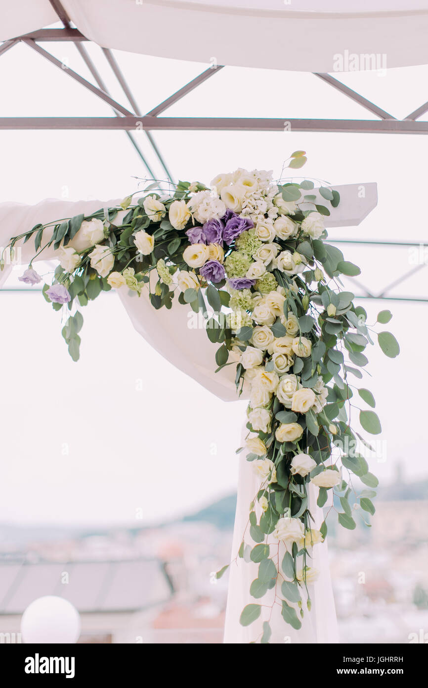 Shite plate hi-res stock photography and images - Alamy