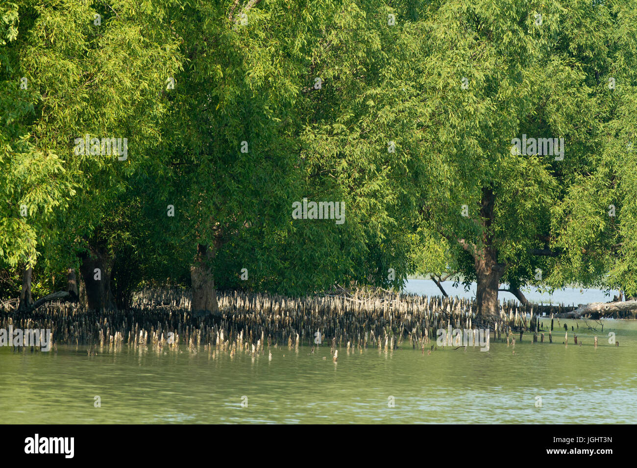 Hiron point hi-res stock photography and images - Alamy