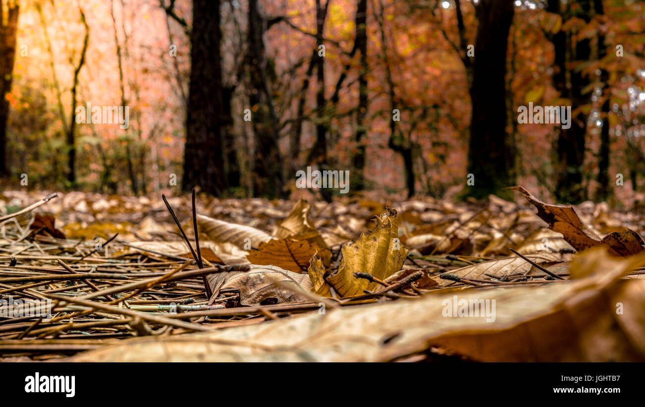 Moody season hi-res stock photography and images - Alamy