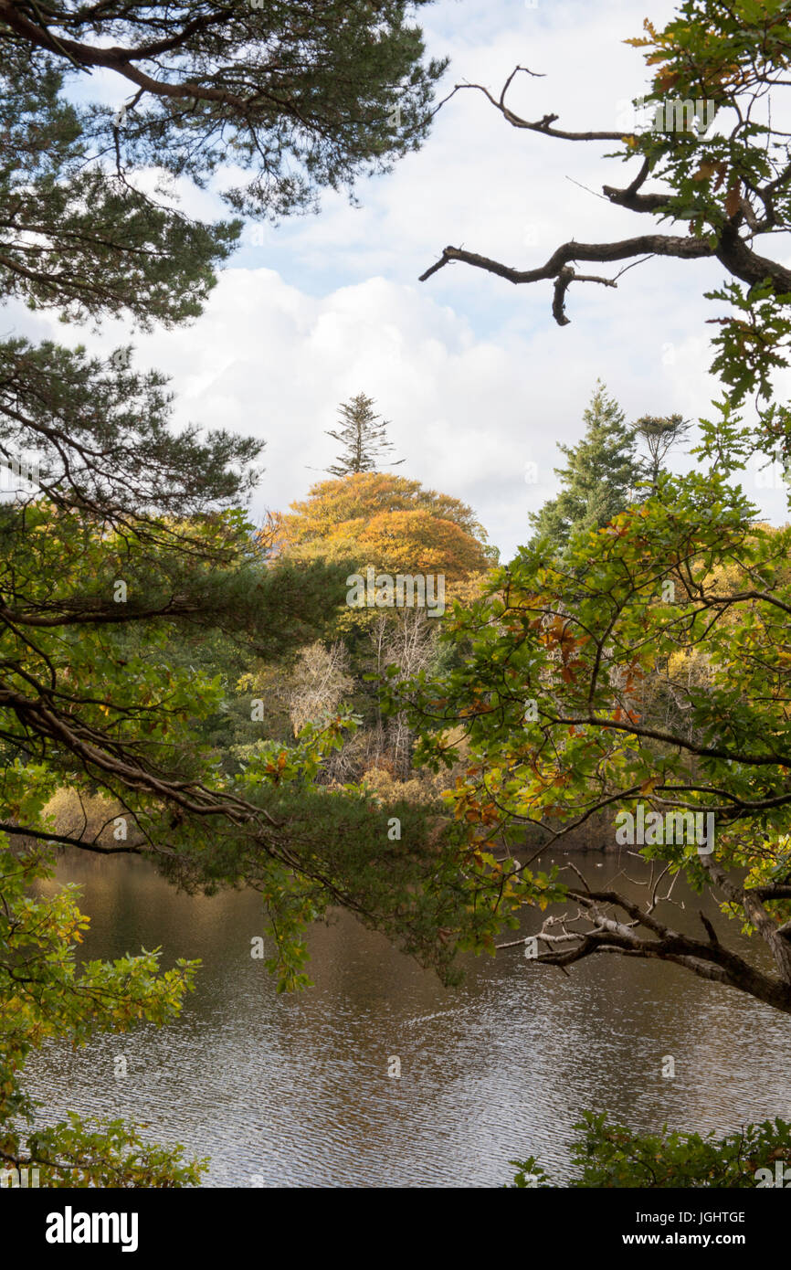 Trees in Autumn leaf on Derwent Isle Derwent Water Keswick The Lake ...