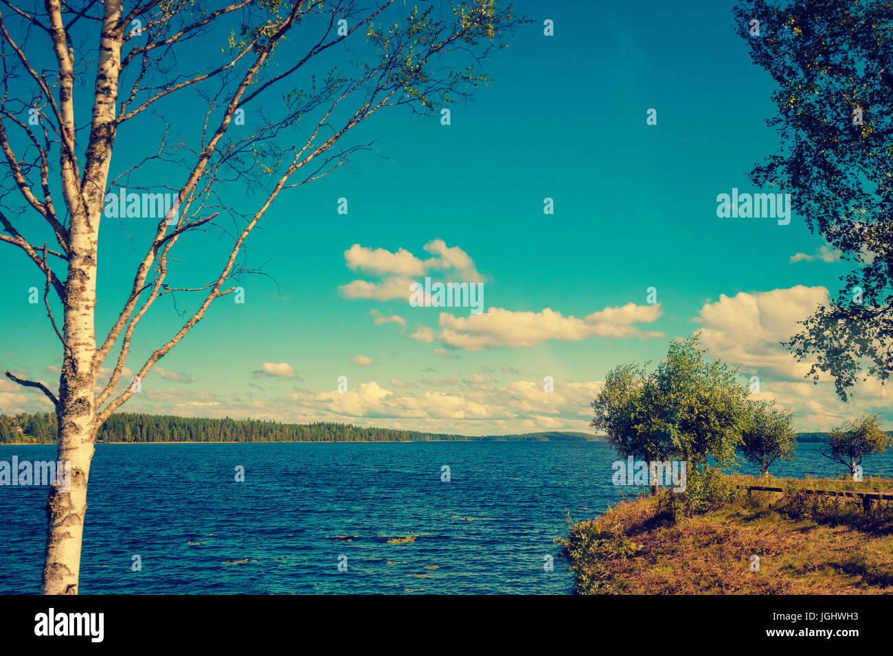 Lakeshore with the birch tree . Beautiful nature Finland Stock Photo ...