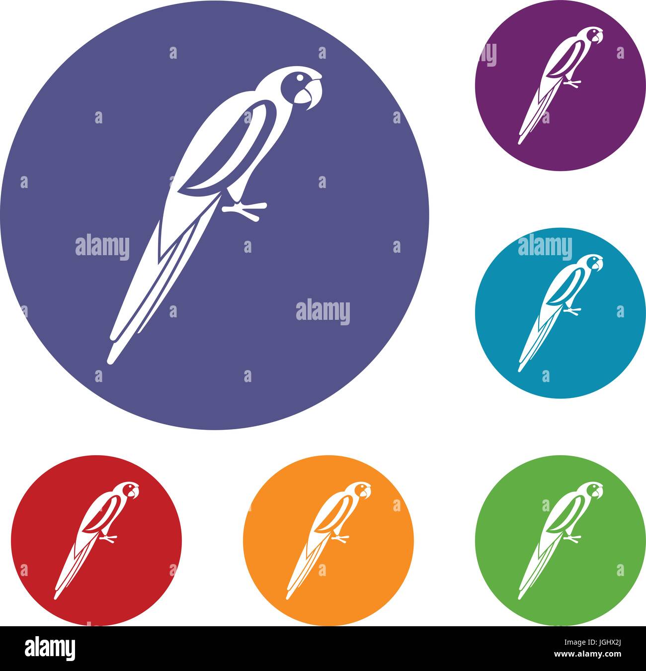Parrot icons set Stock Vector Image & Art - Alamy