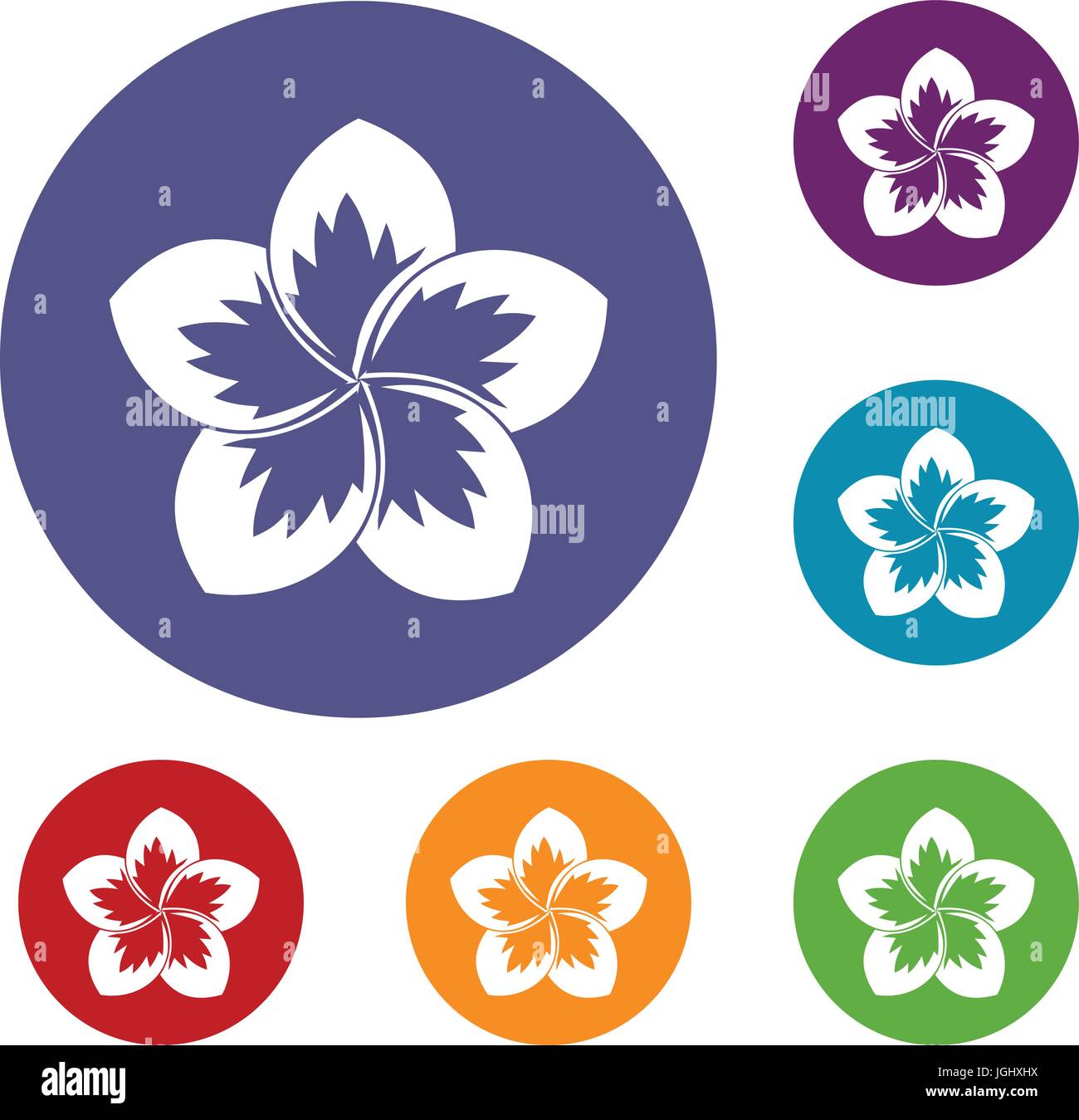 Frangipani flower icons set Stock Vector Image & Art - Alamy
