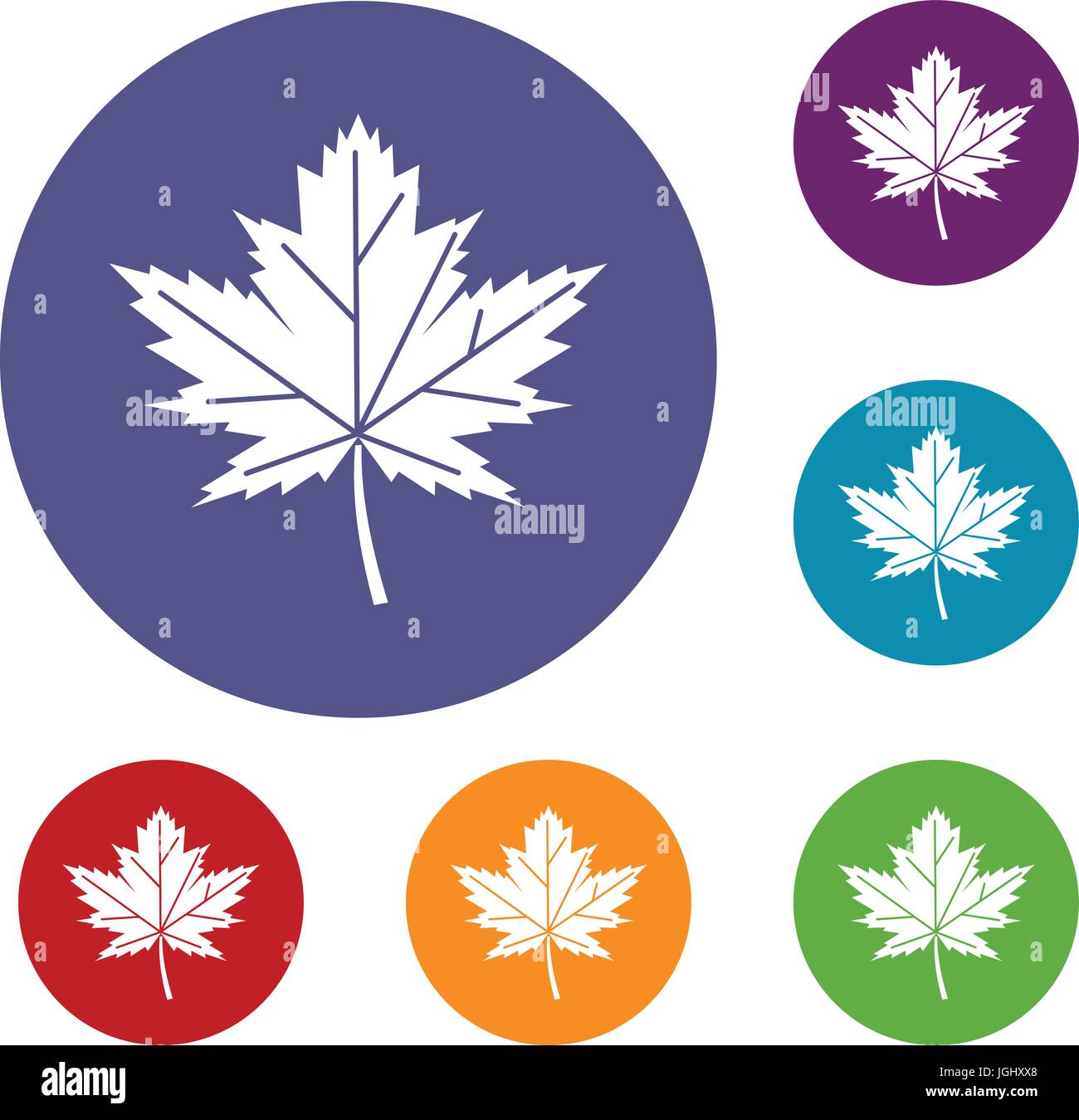Maple leaf icons set Stock Vector Image & Art - Alamy