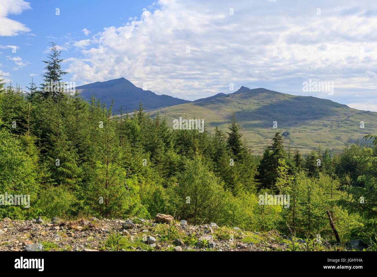 Snowdon and its summits viewed from Beddgelert forest Stock Photo - Alamy