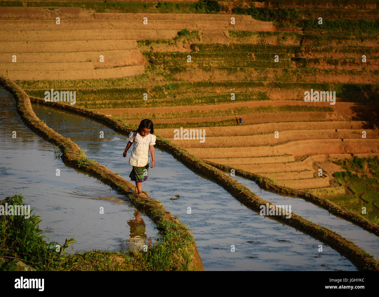 Sapa, Vietnam - May 28, 2016. A Hmong girl walking on terraced rice ...
