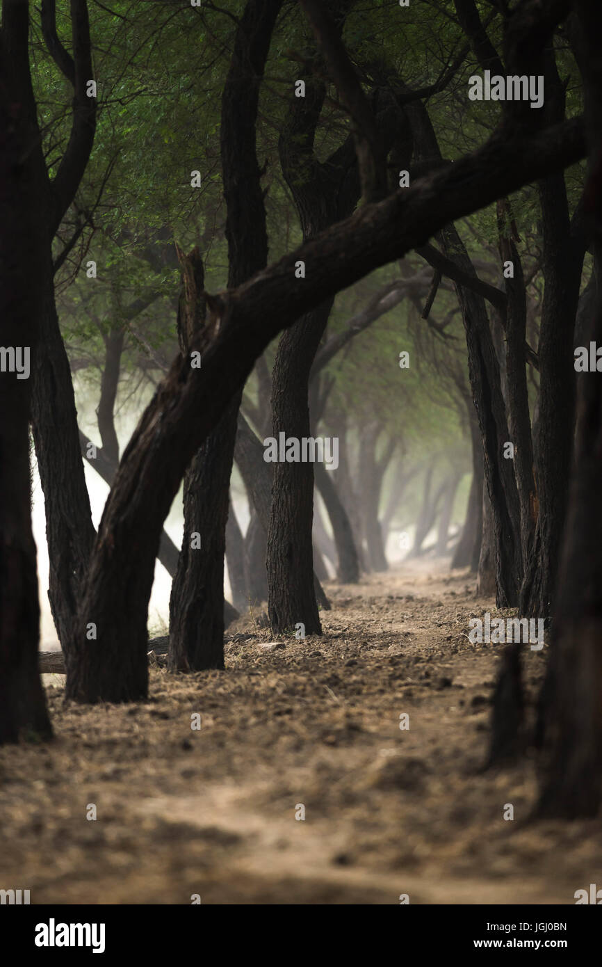 Much travelled hi-res stock photography and images - Alamy