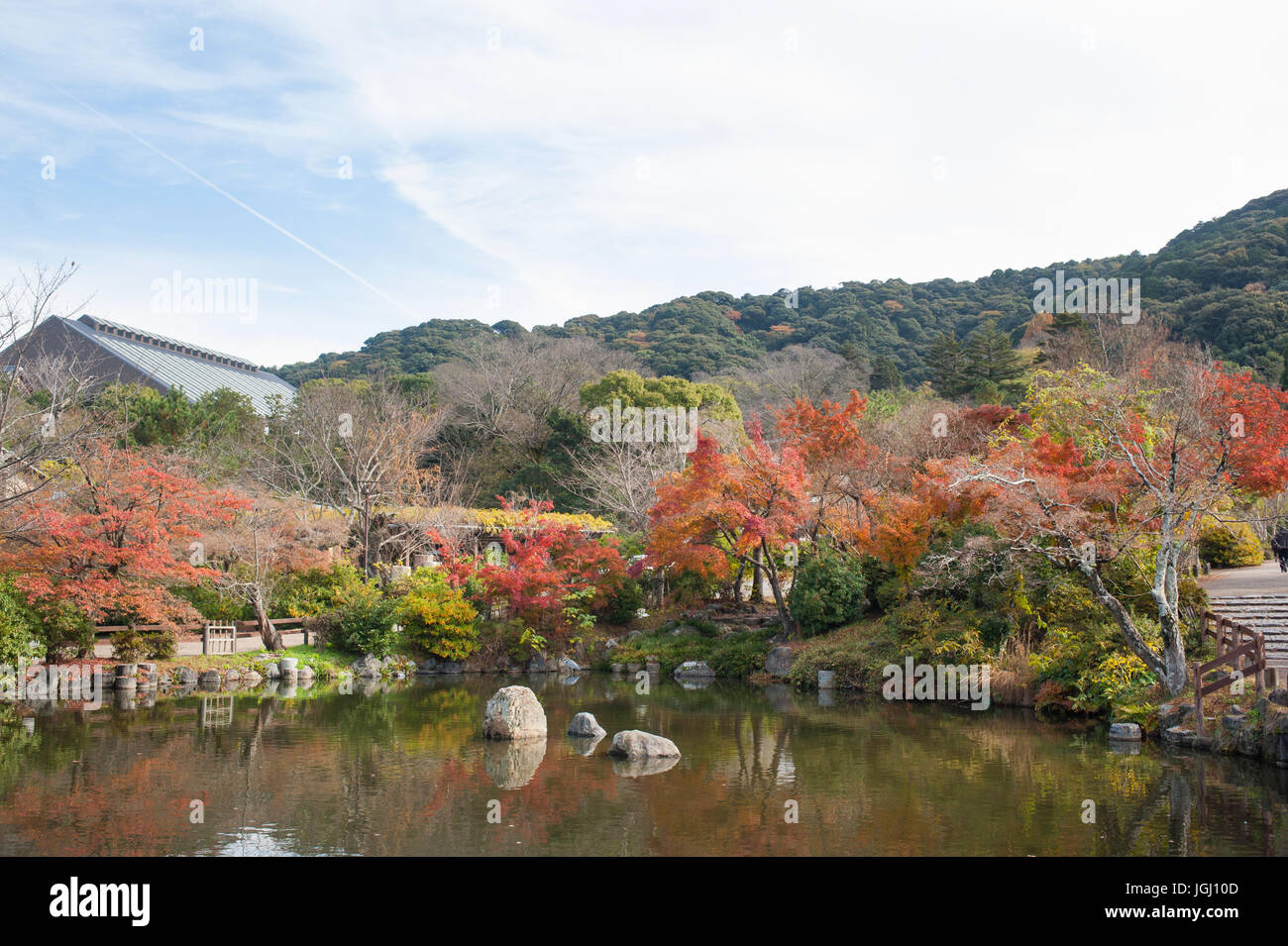 Kyoto, Japan - Maruyama park in autumn Stock Photo - Alamy