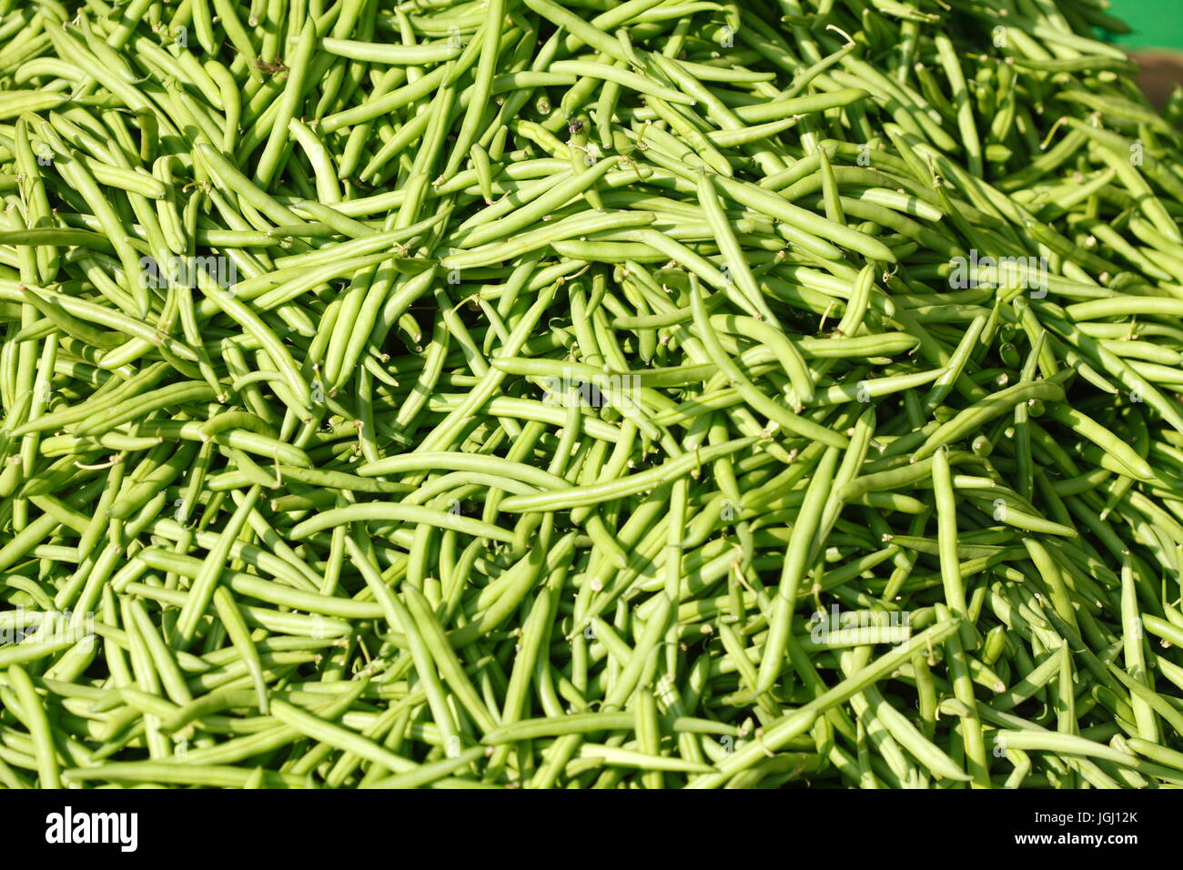 Dwarf beans hi-res stock photography and images - Alamy