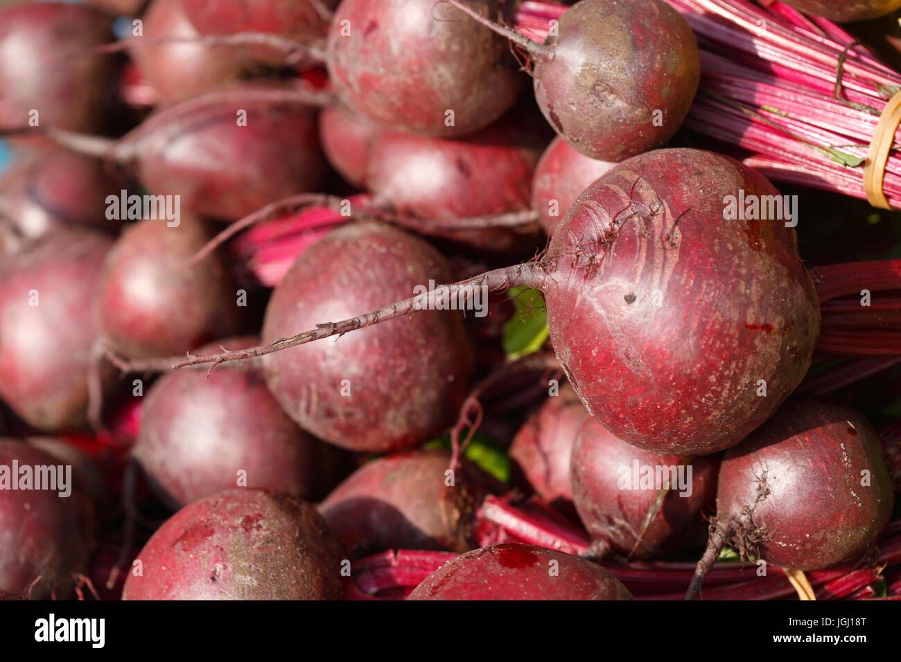 red Beet roots (Beta vulgaris vulgaris) on a market stall Stock Photo ...