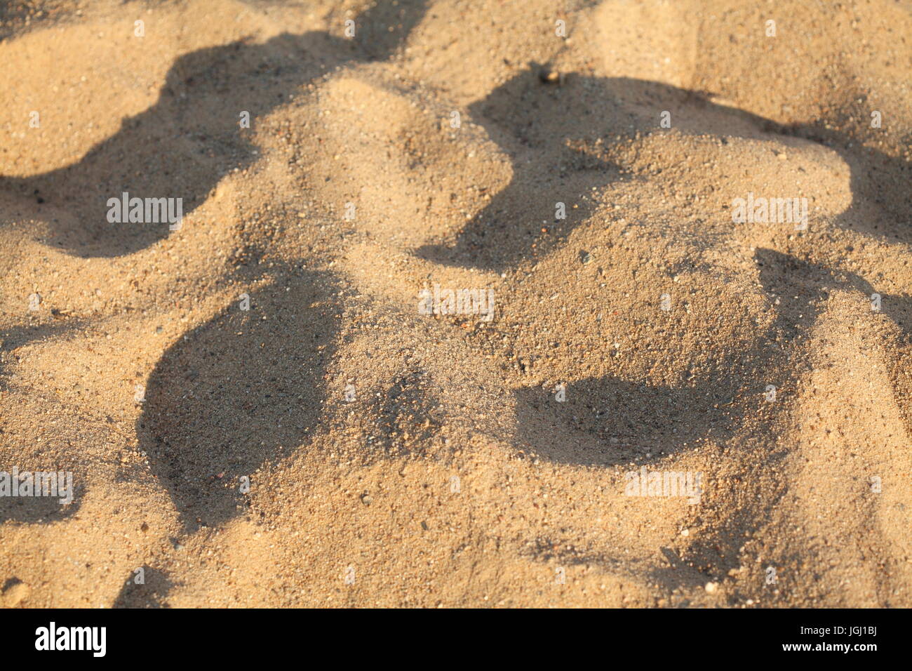 Sand with shadows on a beach Stock Photo - Alamy