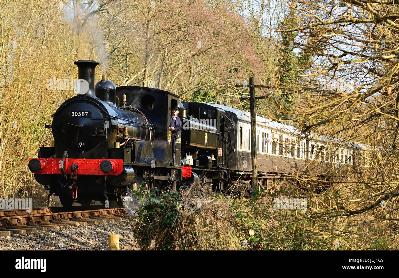 Double-headed steam train on the South Devon Railway, hauled by Beattie ...