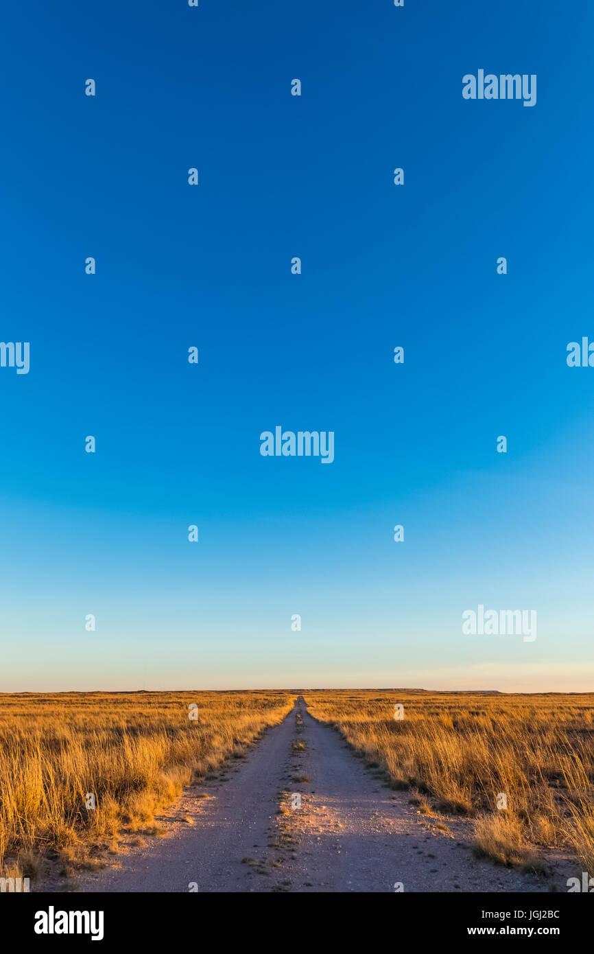 Shortgrass prairie hi-res stock photography and images - Alamy