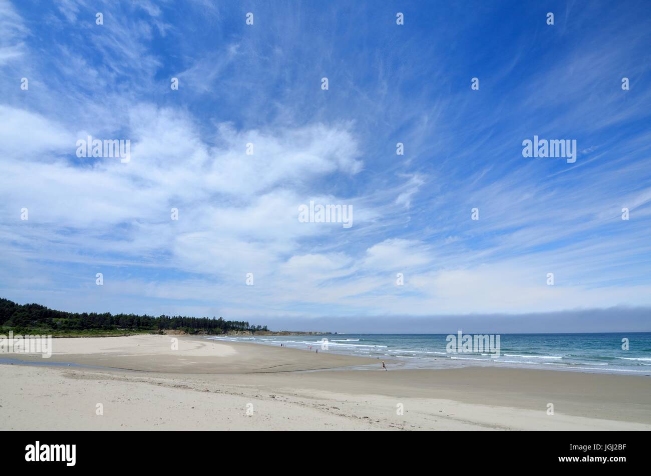 Bastendorff Beach, Coos County Park, Oregon Stock Photo - Alamy
