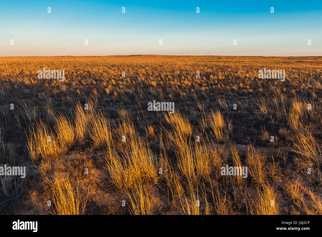 Shortgrass prairie hi-res stock photography and images - Alamy