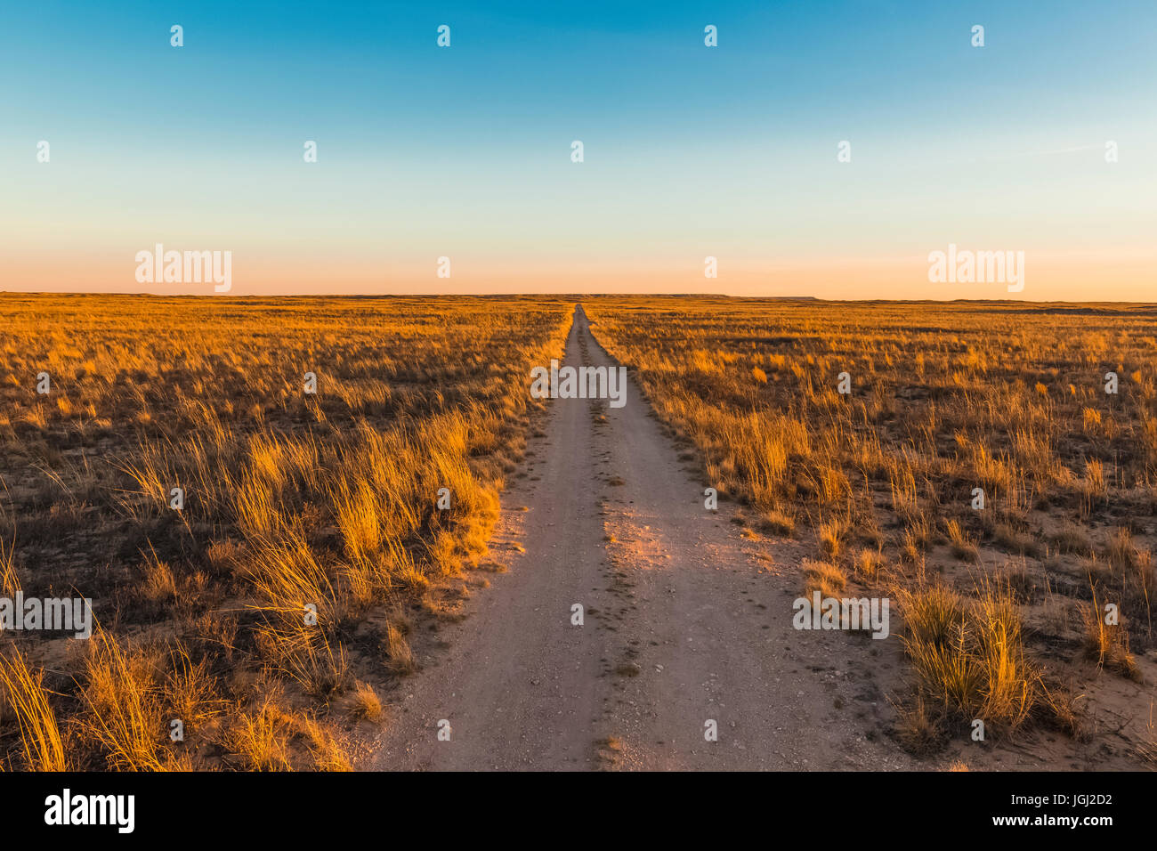 Road through Shortgrass Steppe prairie grassland on Bureau of Land ...