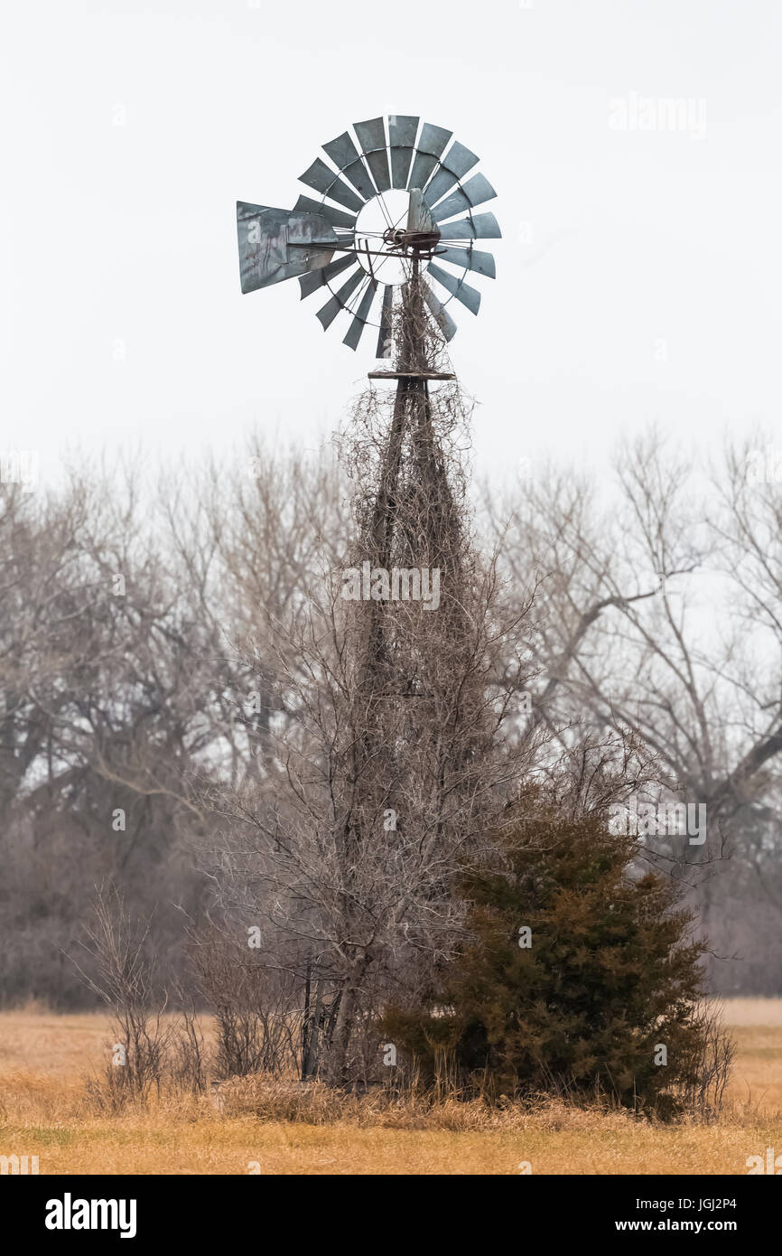 Old windmill overgrown with vines in the Platte River Valley near ...