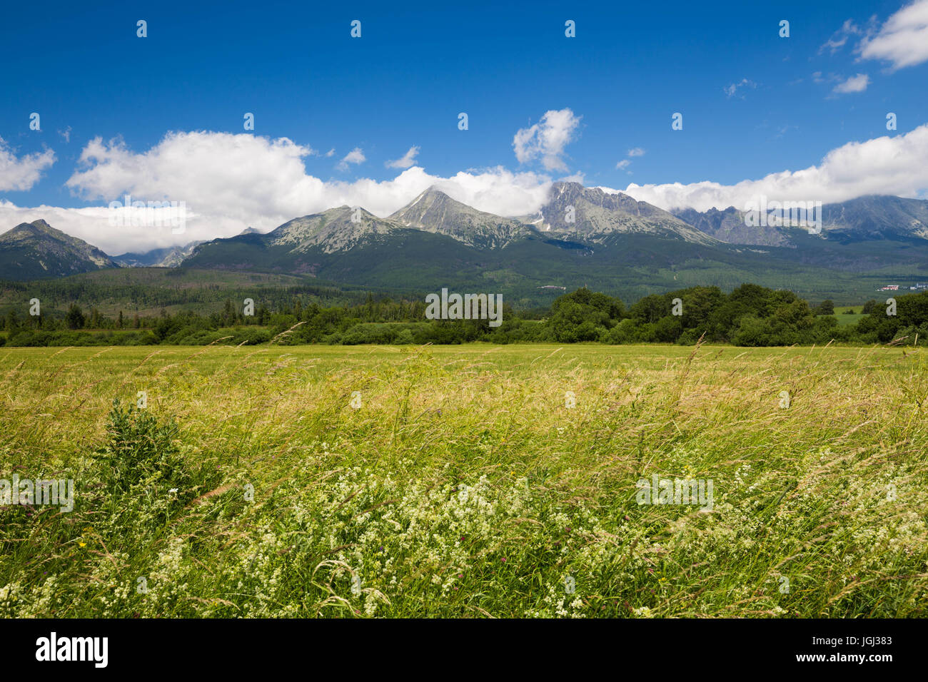 High mountain landscape Stock Photo - Alamy